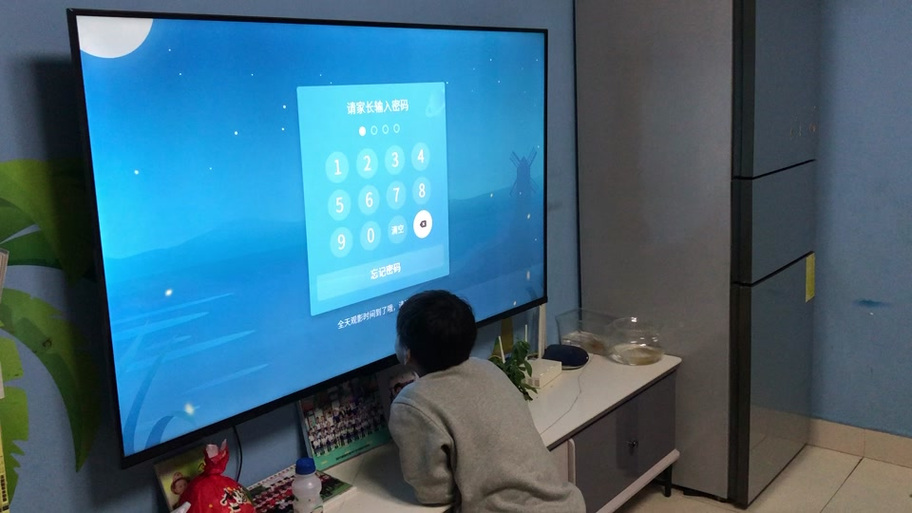 数字电视显示输入密码图标