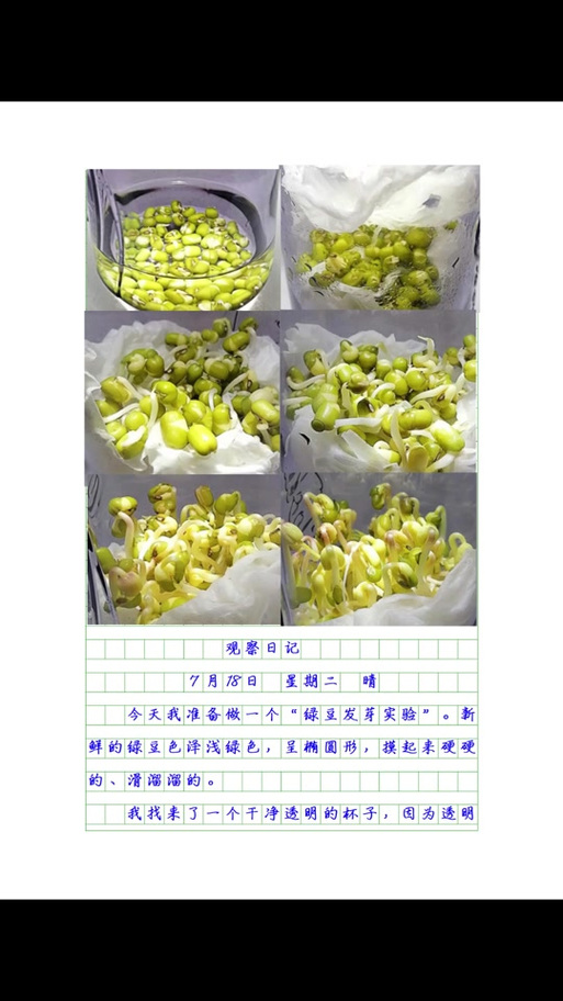 绿豆观察日记三篇图标