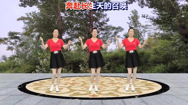 杨丽萍《灿烂》广场舞图标