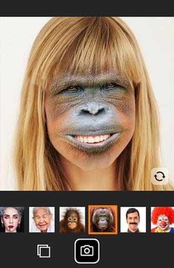 faceswap安卓版图标
