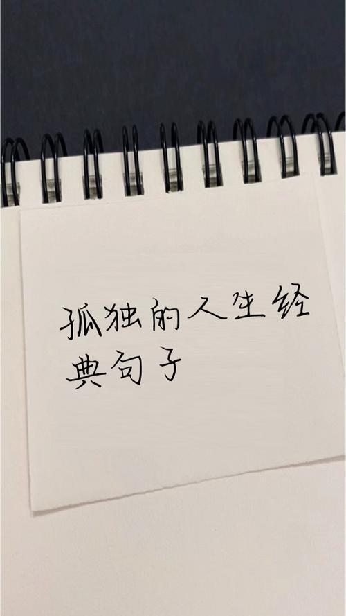 享受孤独的唯美句子图标