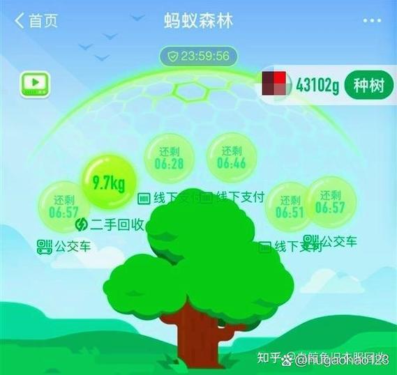 支付宝蚂蚁森林加载慢