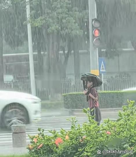 出门遇到下雨什么预兆截图
