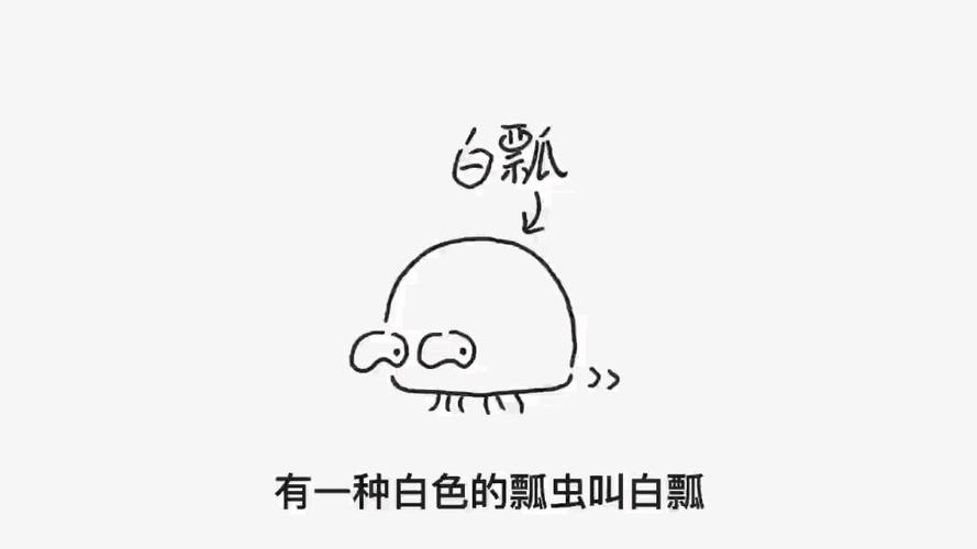 白漂怪图标