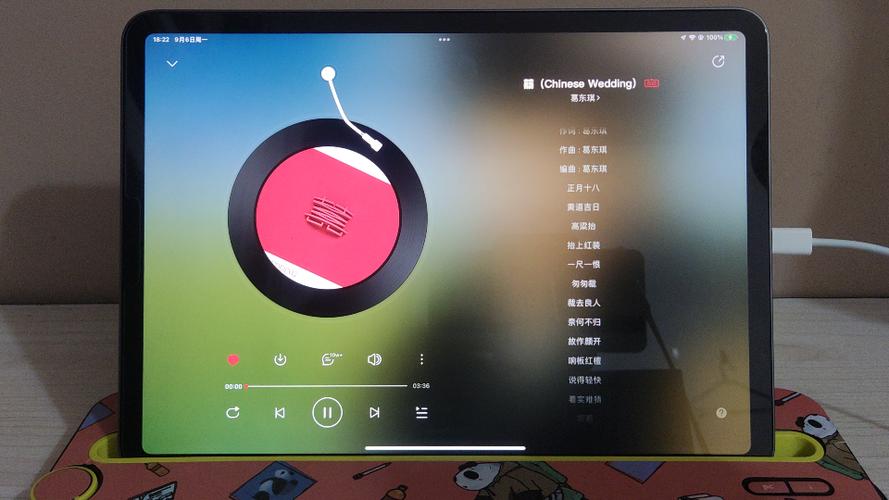 ipad突然自动播放音乐截图