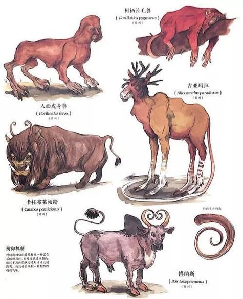 神秘动物图鉴图标