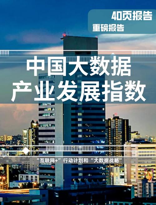 国体大数据截图