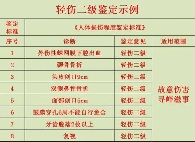 2026轻伤二级鉴定标准图标