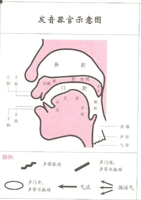 如何正确发声训练方法图标
