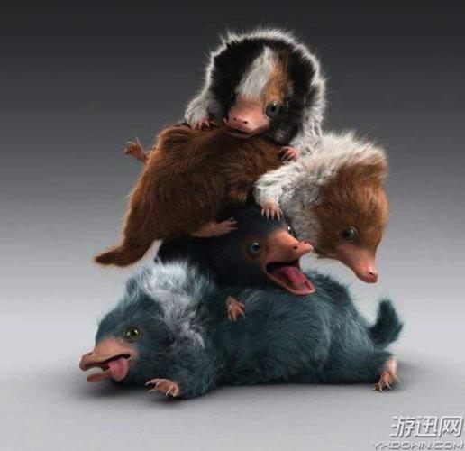 嗅嗅怎么赚钱