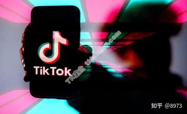 tiktokcom官网登录入口图标