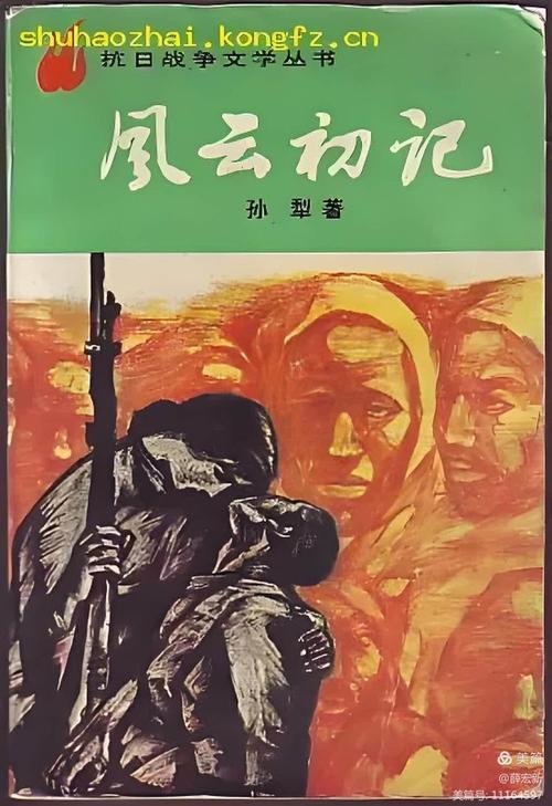 风云初记老电影完整版缩略图
