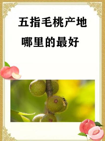盛产的盛是什么意思图标
