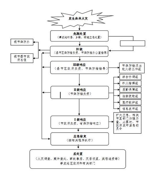 森林防火作战流程图标