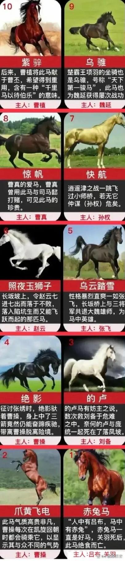 刘备关羽张飞的马叫什么图标