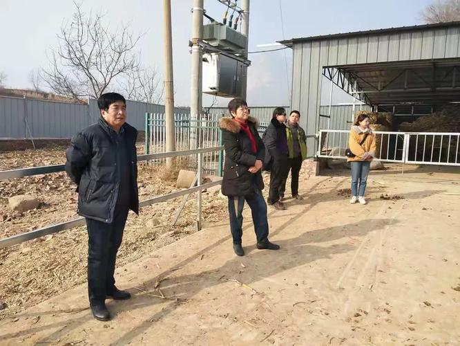鑫牛牧业图标