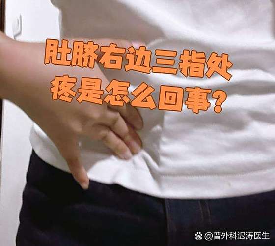 肚脐眼左边疼是什么部位图标