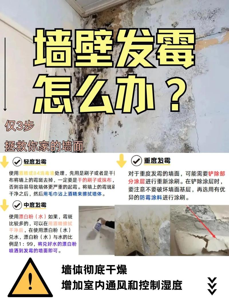 已经发霉的墙怎么处理图标