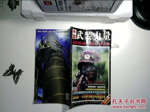 最好2008中文截图