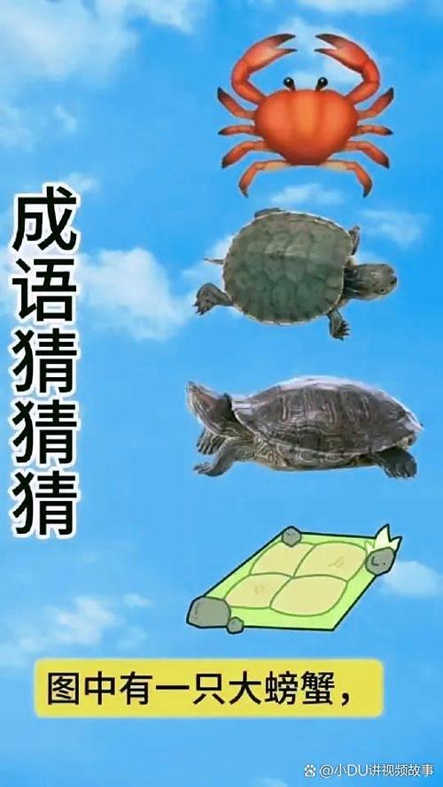 谜语猜猜猜的全部答案图标