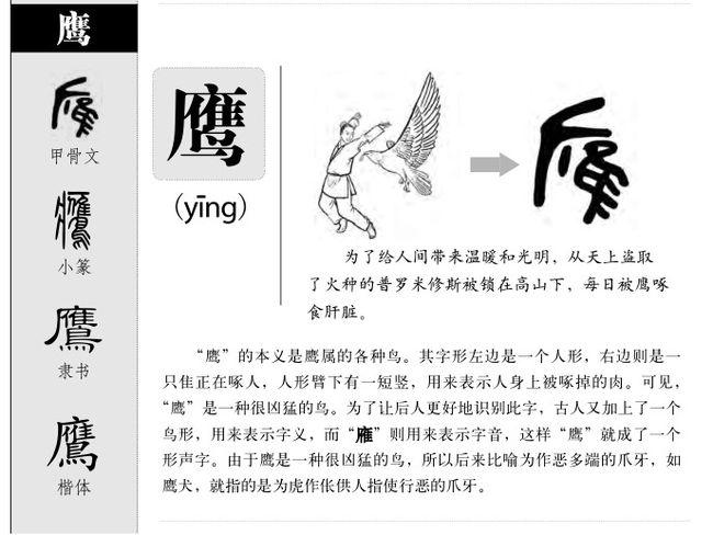 带鹰的霸气昵称图标