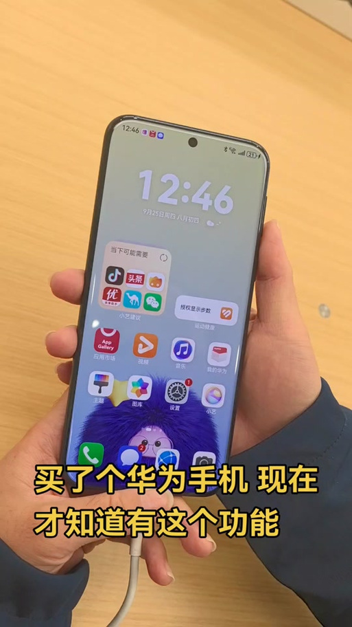 华为pura80微信铃声在哪设置图标