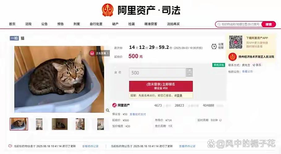 阿里拍卖司法拍卖网图标