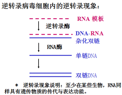 V脸仪用了半年脸垮了图标