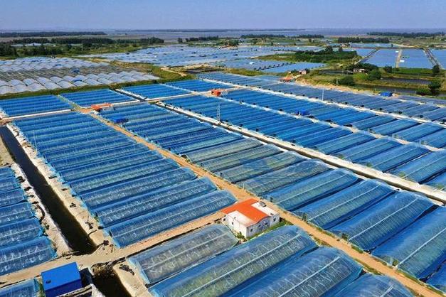 世界农场养虾赚钱真的吗图标