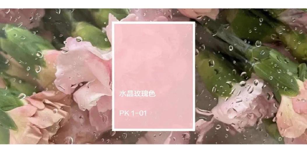 水晶玫瑰色是什么颜色