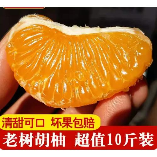 柚子熟过头了会苦吗截图
