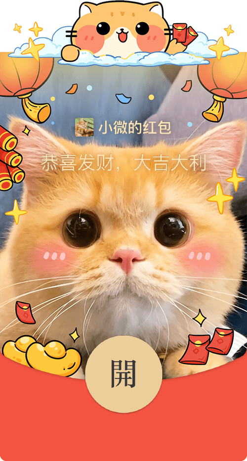 天天养猫猫红包版图标