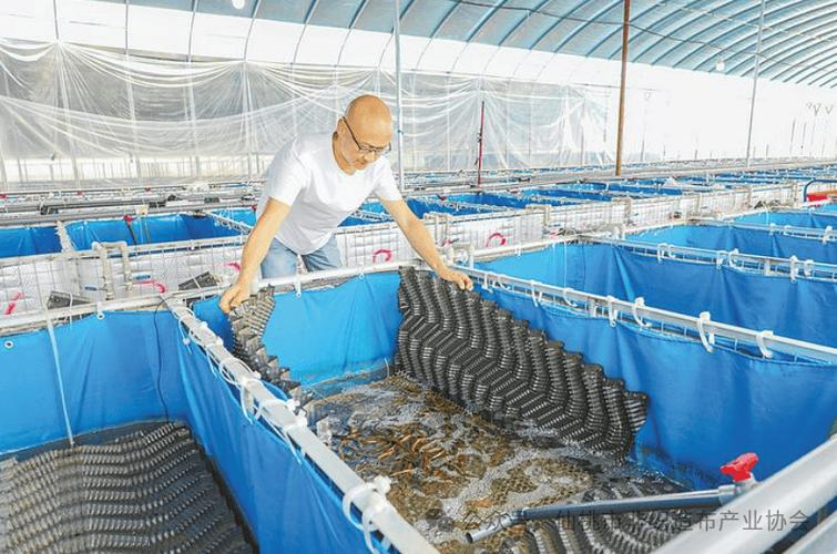 养黄鳝赚钱吗图标