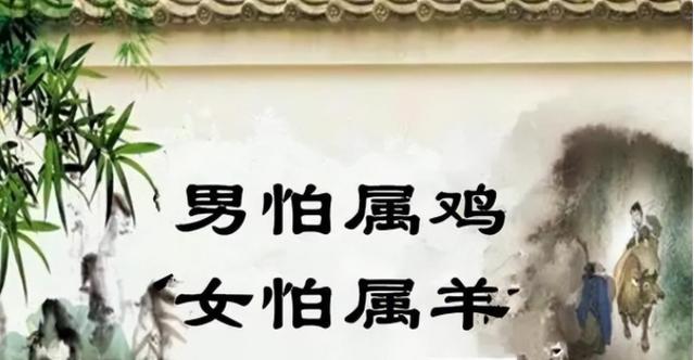 男人说羊暗示啥意思图标