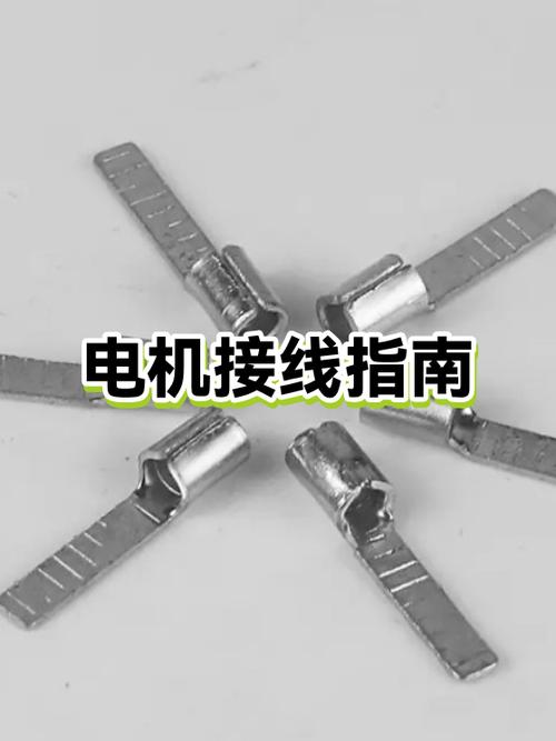 220v单电容电机接线图片图标