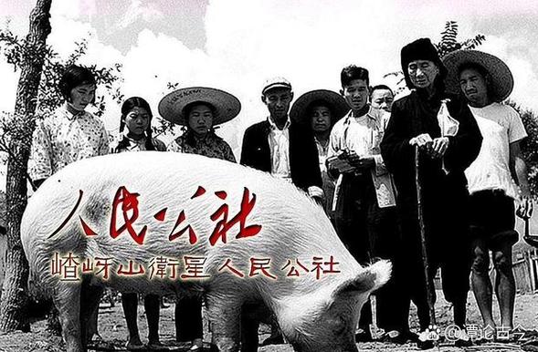 县和公社有什么区别图标