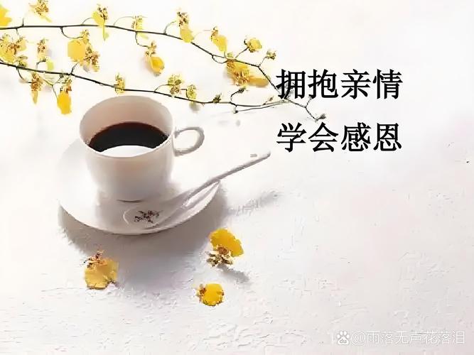 怎么查看上个月亲情卡用了多少图标