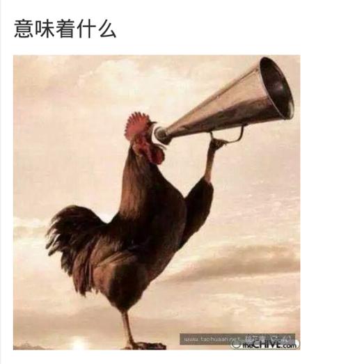 吹鸡是什么截图