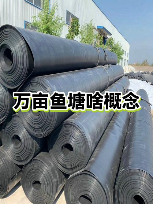 拼多多鱼塘什么意思