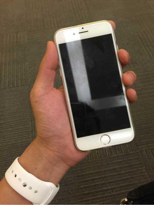 苹果6指纹突然不能用了截图