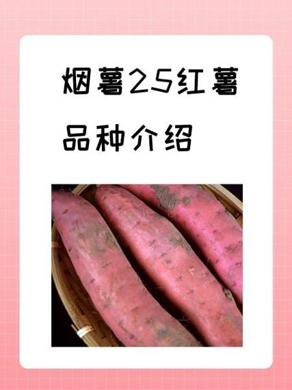红薯十大品牌品种图标