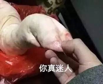 伸出一只猪蹄表情包截图