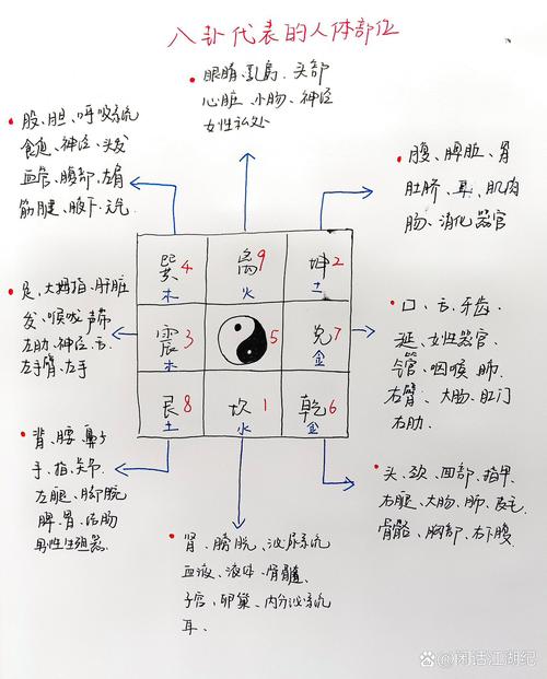 八卦对应人体部位口诀图标