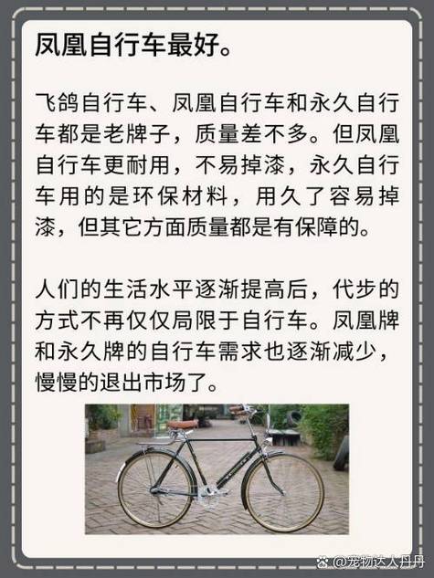 凤凰飞鸽永久选哪个好图标