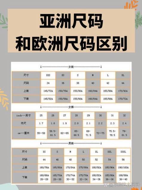 亚洲尺码和欧洲尺码的区别图标