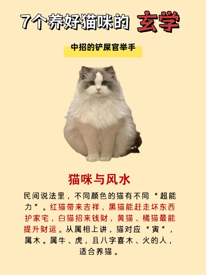 养猫镇宅原因图标