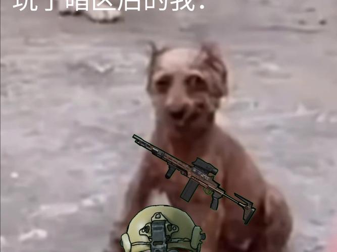 暗区突围真好玩图标