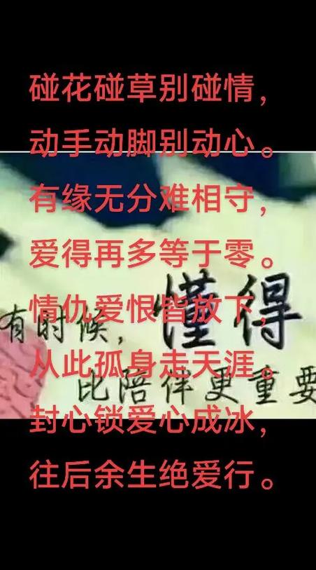 捡个乞丐当老婆图标