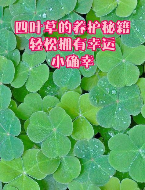 四叶草做法图标