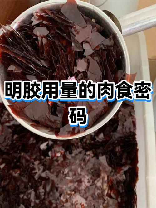 香肠胶多长时间能干截图